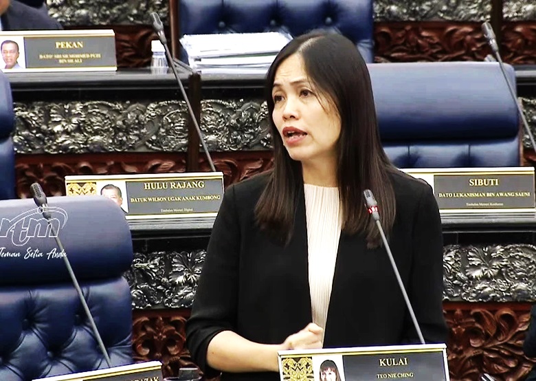 國會〡已對付2人包括Adeline Chang 張念群：續用通訊法令控濫用網路者 | 即时 | 国内 | 2024-11-13 – 光明日报