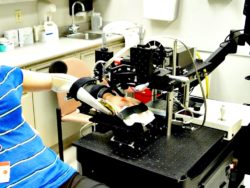 瘧疾檢測新法 利用激光不必採血 | 即时 | 国际 | 2024-11-03 – 光明日报