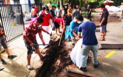 “Sayang” “Lepak”英文怎么说？ 这9个马来词超难翻 | 精选 | 即时 | 国内 | 2025-04-23 – 光明日报